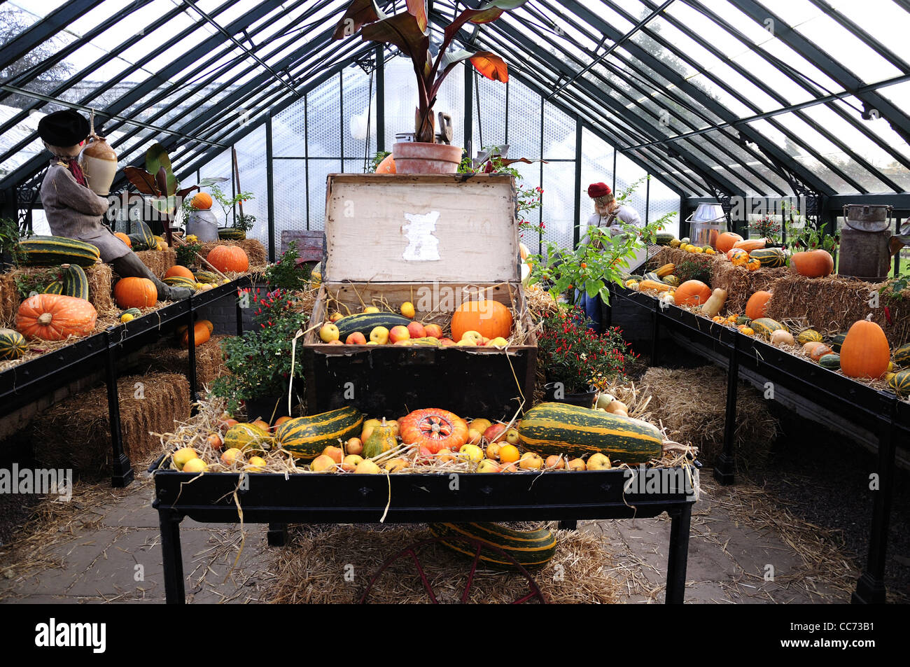 Tatton Park High Resolution Stock Photography and Images - Alamy