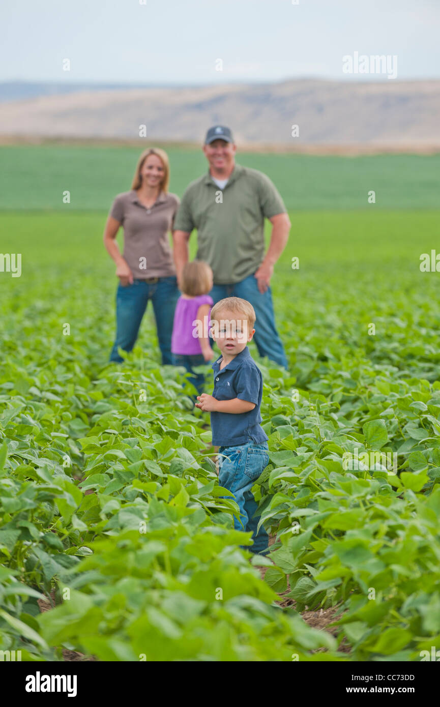 A farmer walking in his field of soybeans with his family Stock Photo ...