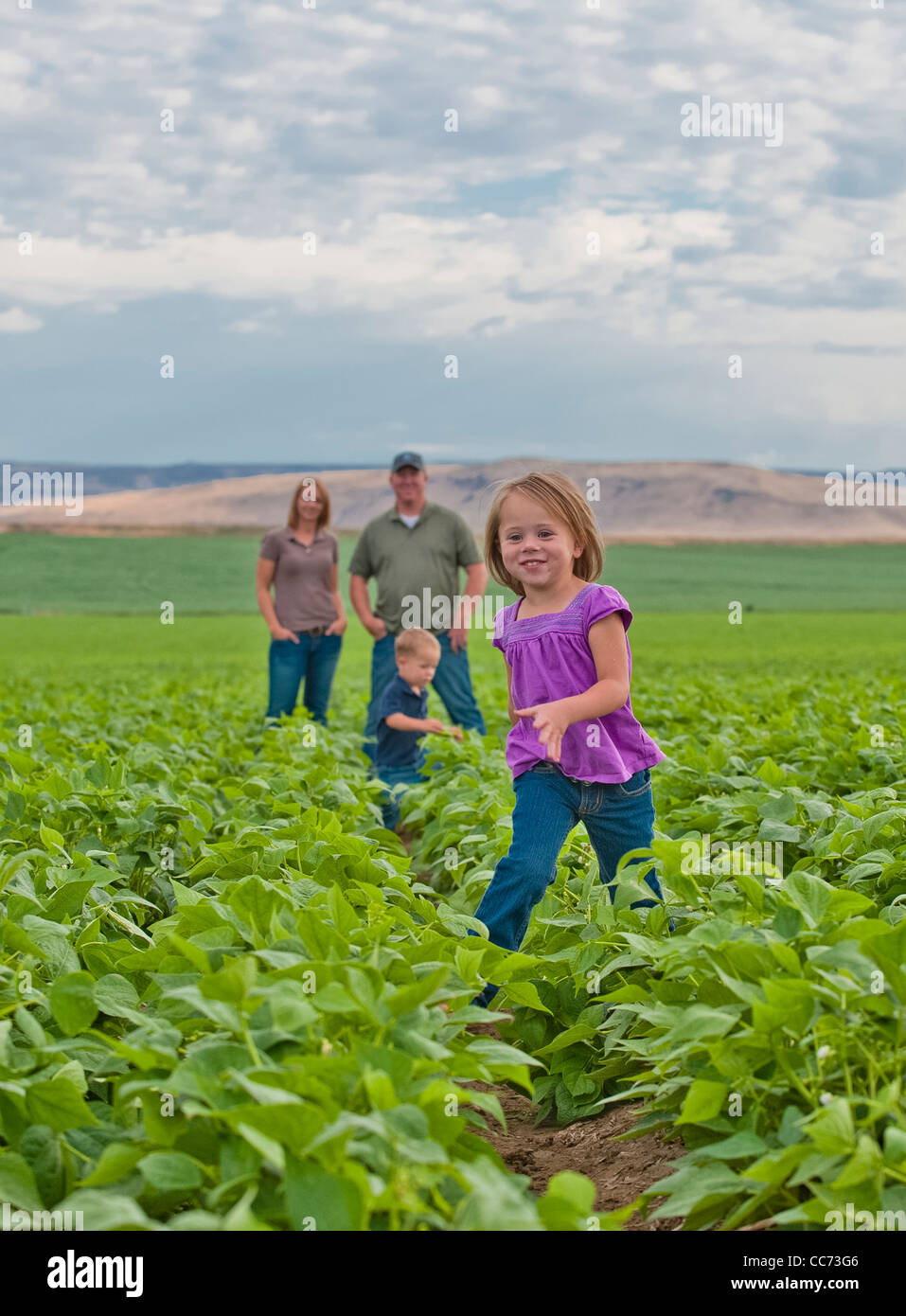 A farmer walking in his field of soybeans with his family Stock Photo ...