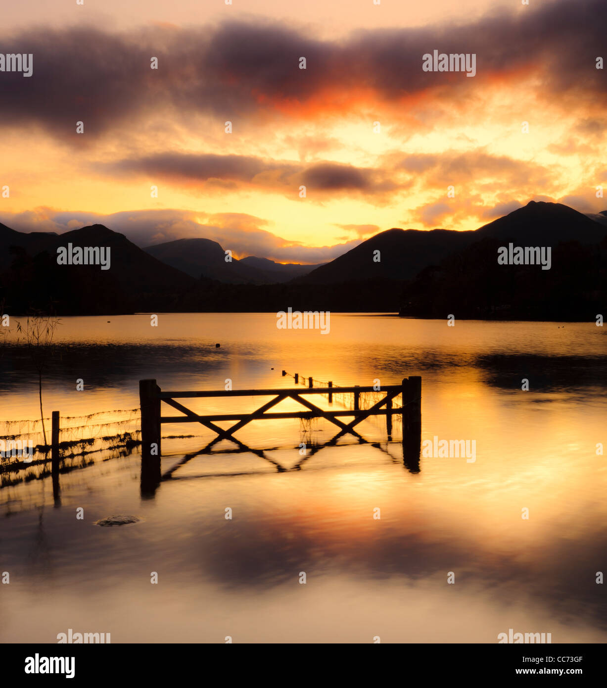 Half under water hi-res stock photography and images - Alamy