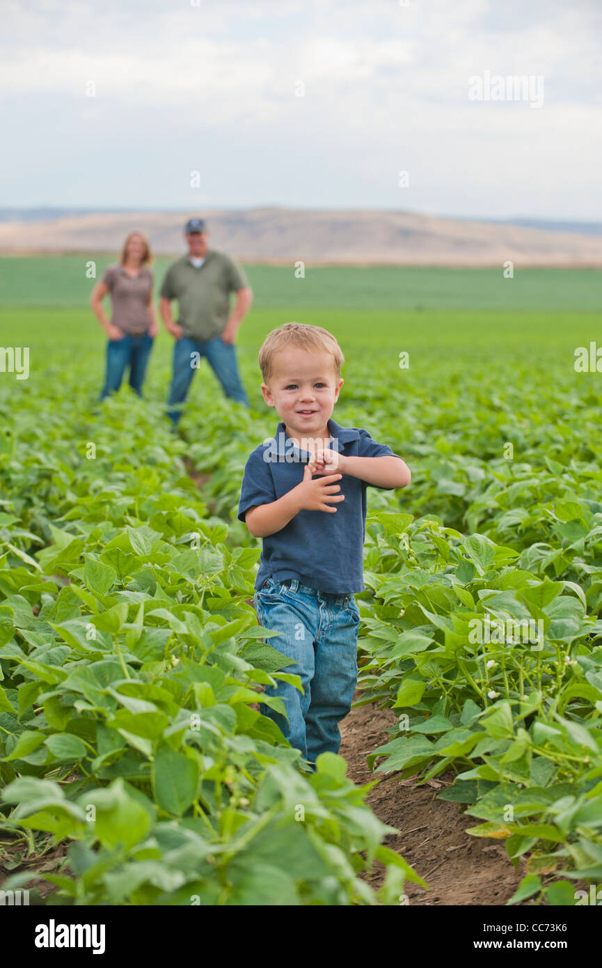 A farmer walking in his field of soybeans with his family Stock Photo ...