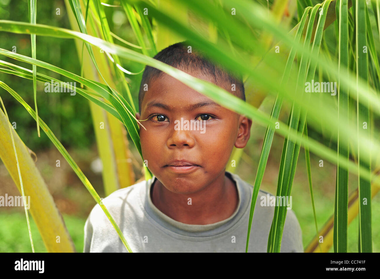 Indonesia, Sumatra, Banda Aceh, portrait of young boy amidst green ...
