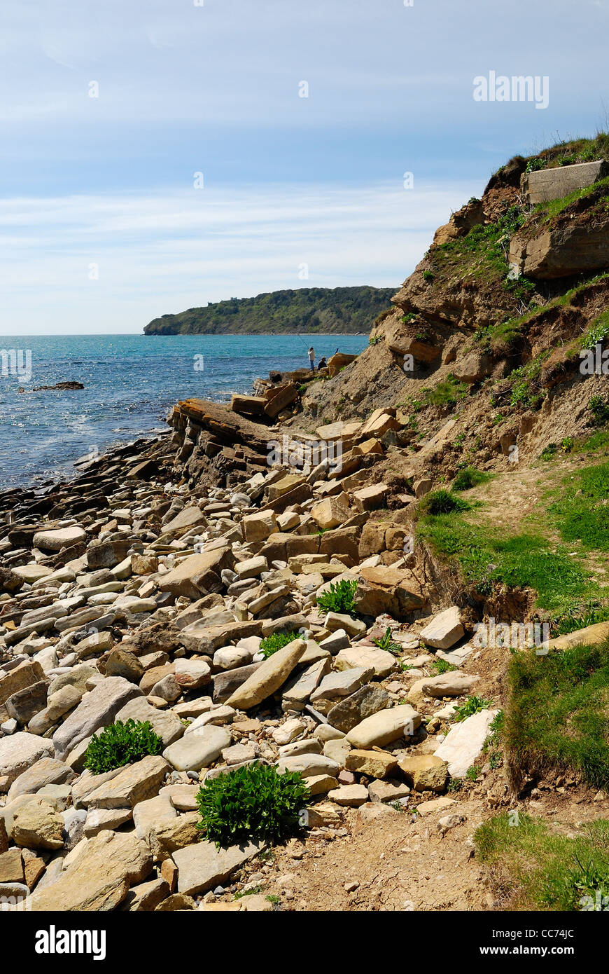 peveril point coastline swanage dorset england uk Stock Photo - Alamy