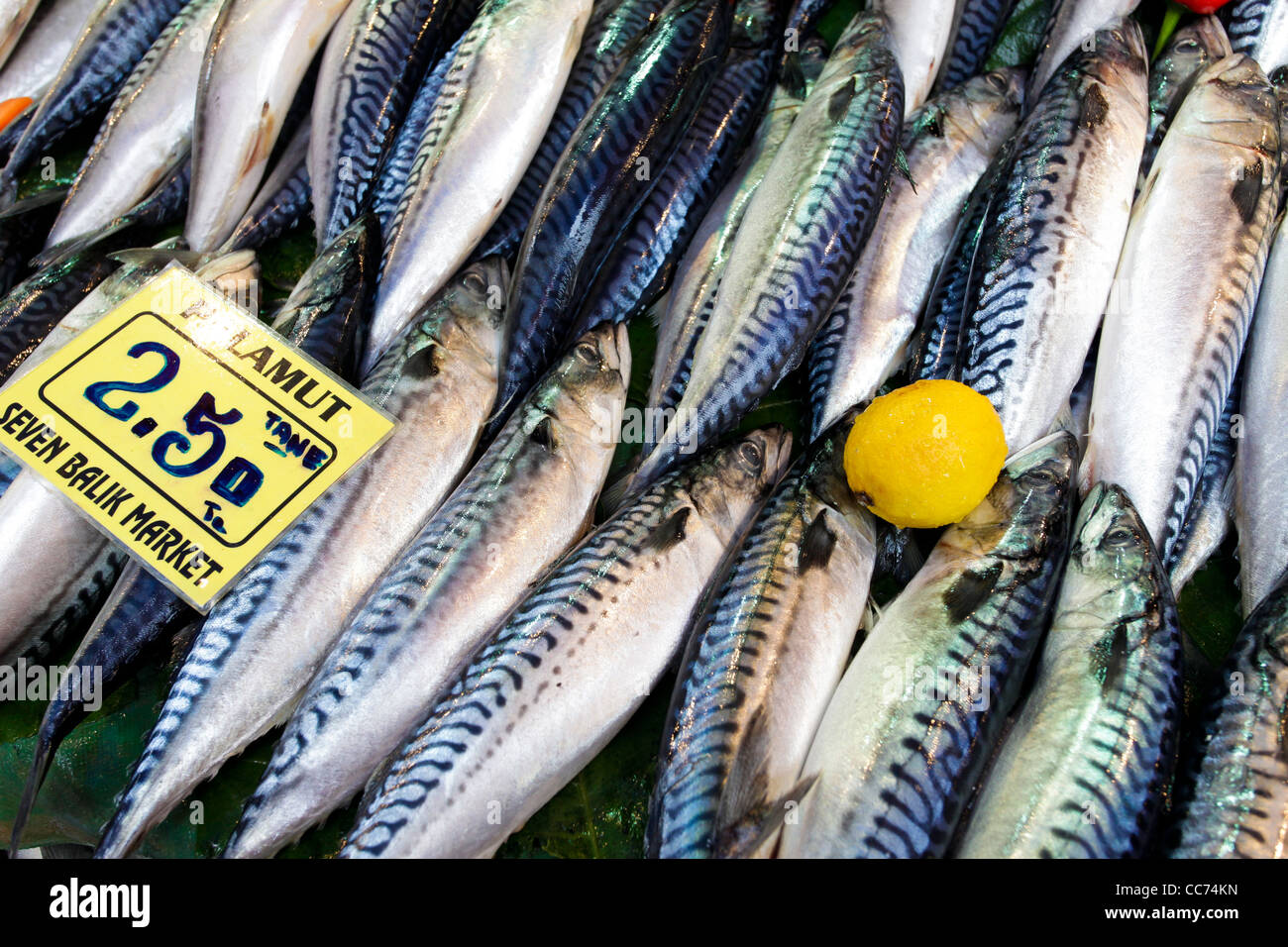 Istanbul, Turkey. Fish market, Kadakoi district Stock Photo - Alamy