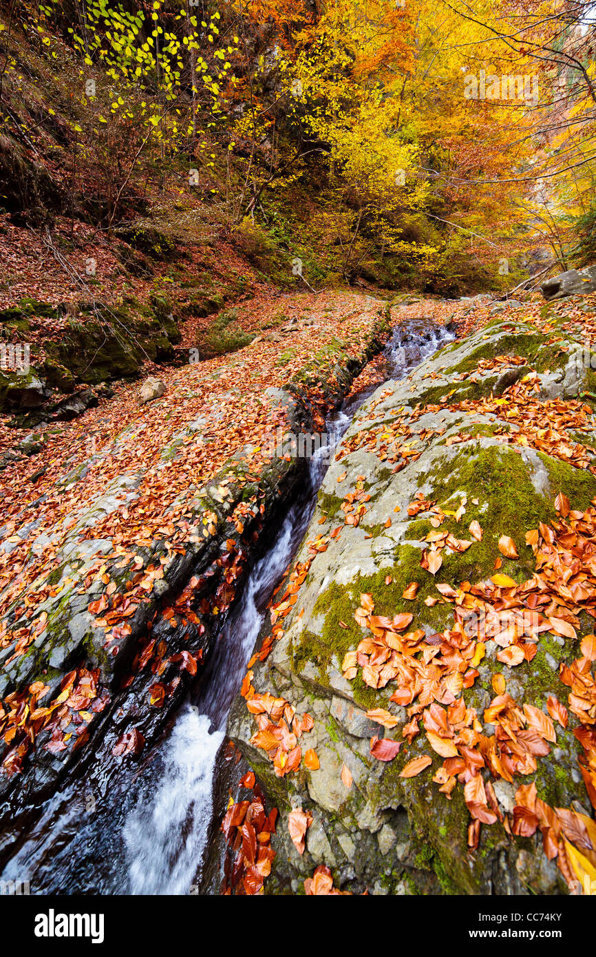 Rough mountain landscape with a creek flowing through a canyon Stock ...