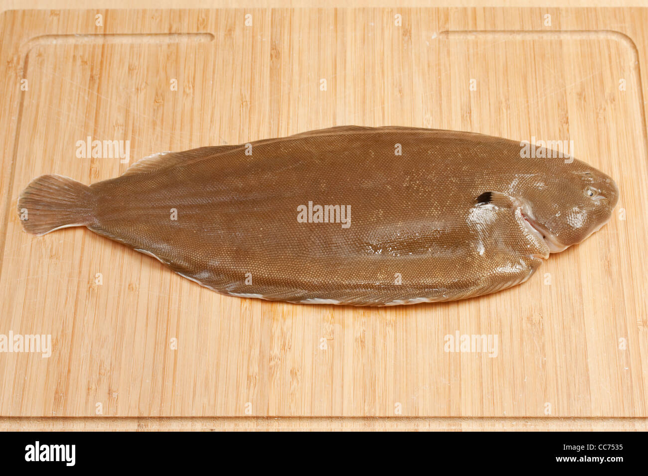 Flat fish sand sole hi-res stock photography and images - Alamy