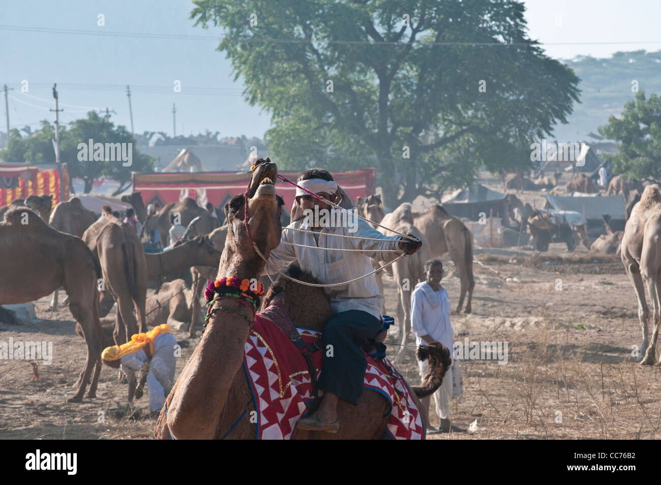Man riding camel hi-res stock photography and images - Alamy