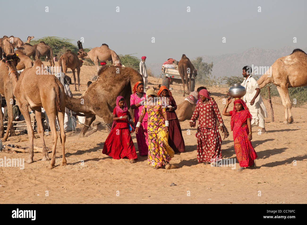 Colourfully dressed Rajasthani women, Camel Fair, Pushkar, Rajasthan ...