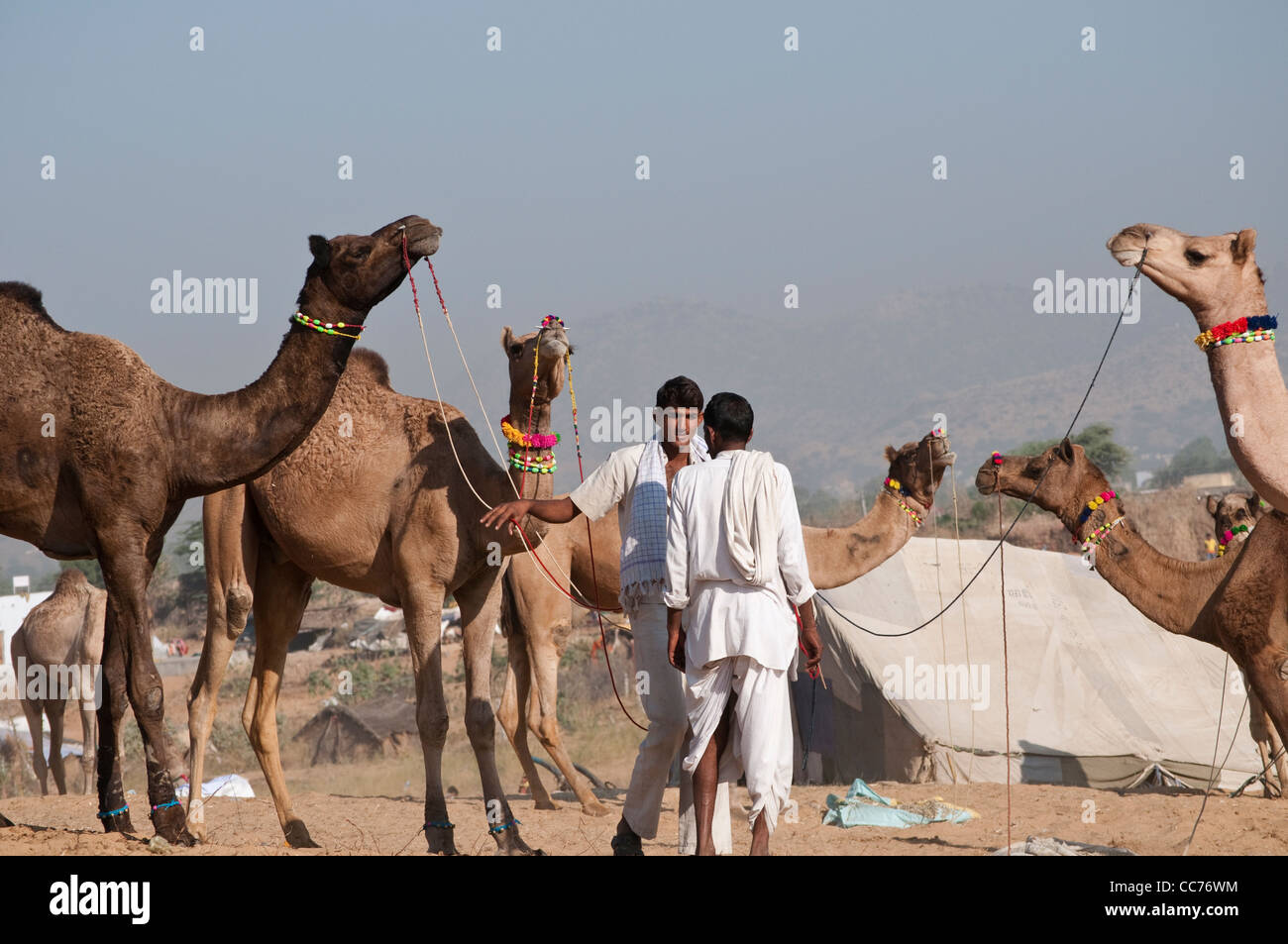 Two men talking, Camel Fair, Pushkar, Rajasthan, India Stock Photo - Alamy
