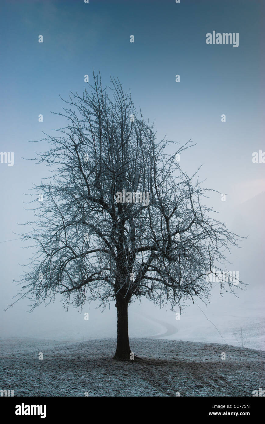 Dark tree landscape hi-res stock photography and images - Alamy