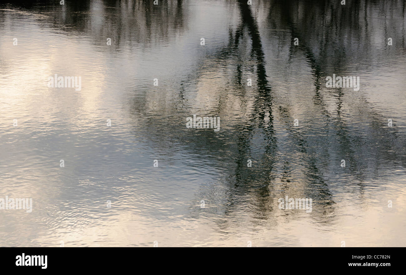 Reflection tree hi-res stock photography and images - Alamy