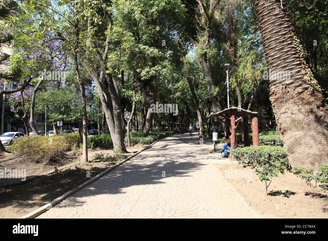 Parque Mexico, Mexico Park, Colonia Condesa, La Condesa, trendy ...