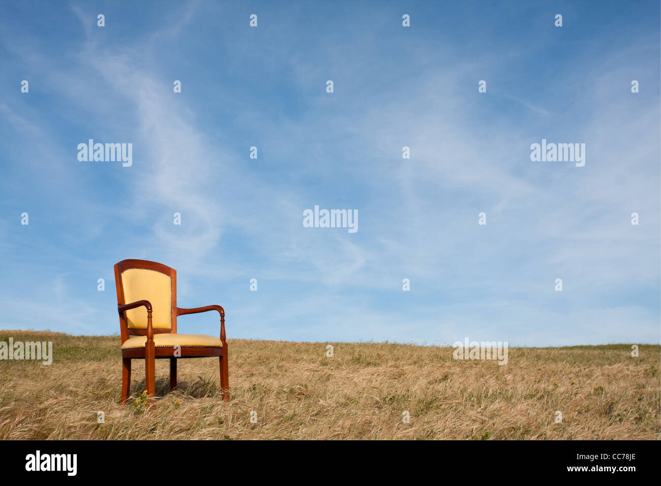 empty chair outside at the grass field Stock Photo - Alamy