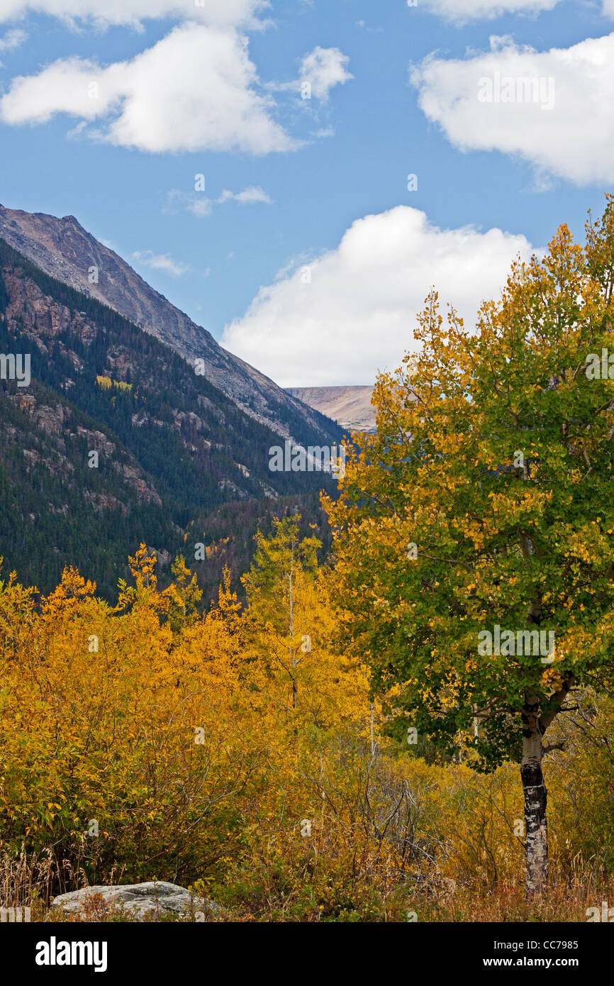 Fall in the mountains Stock Photo - Alamy