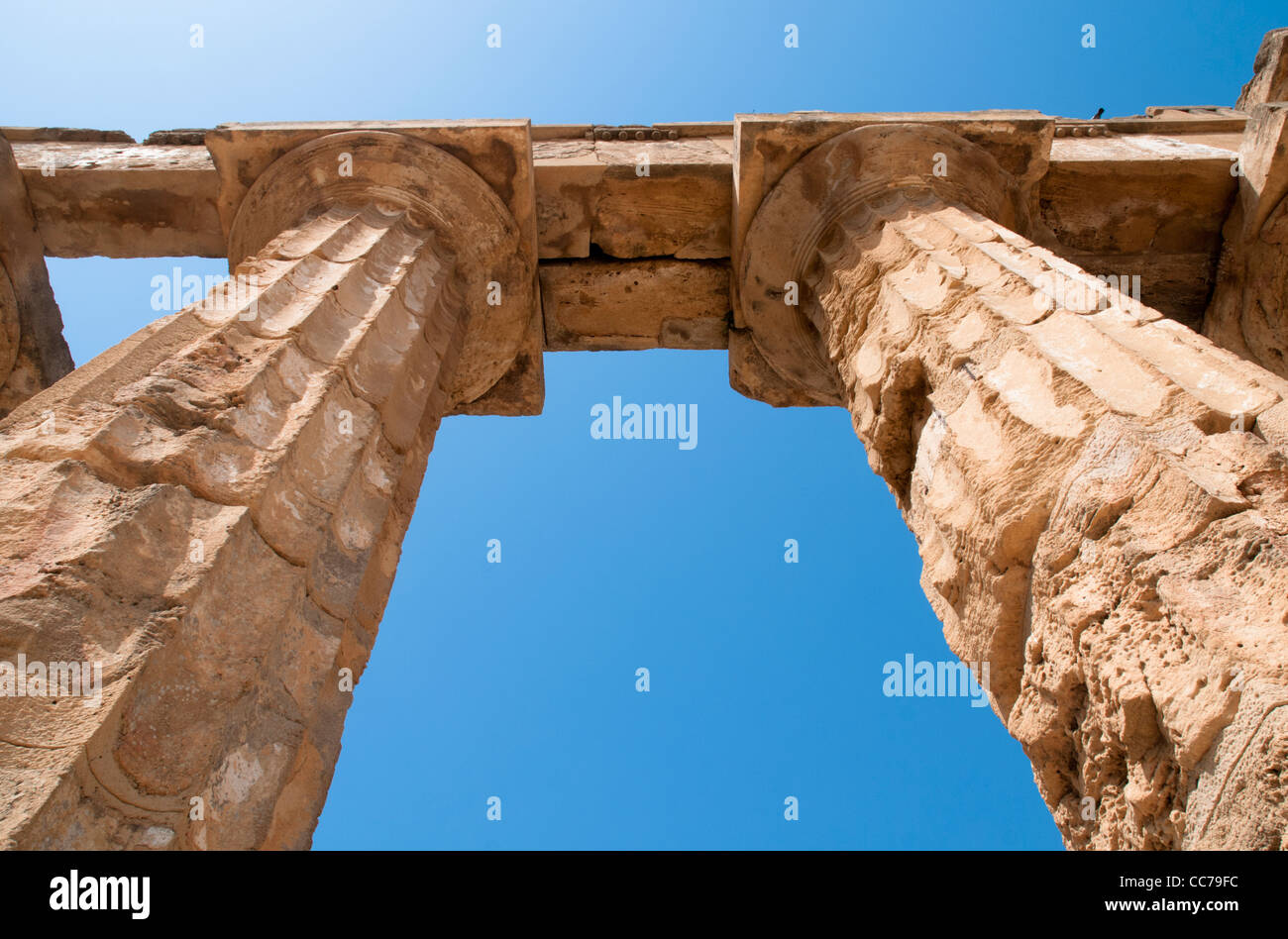 Selinunte - Selinus E Temple dedicated to Hera - detail Stock Photo - Alamy