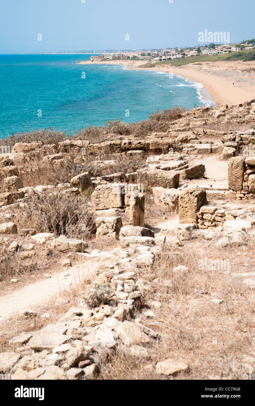 Selinunte - Selinus - Ruins on the Acropolis Stock Photo - Alamy