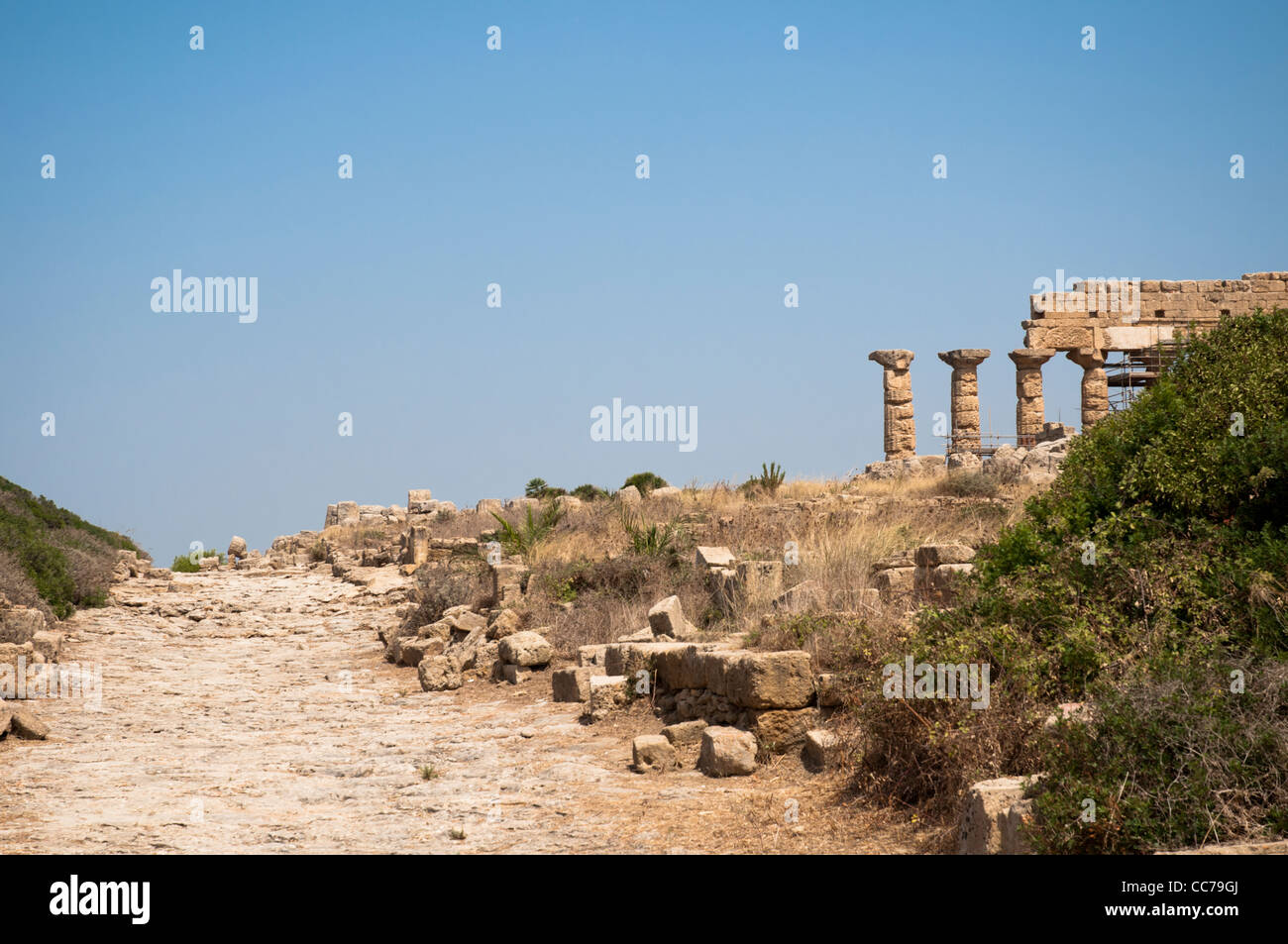 Selinunte - Selinus - the main street of the Acropolis Stock Photo - Alamy