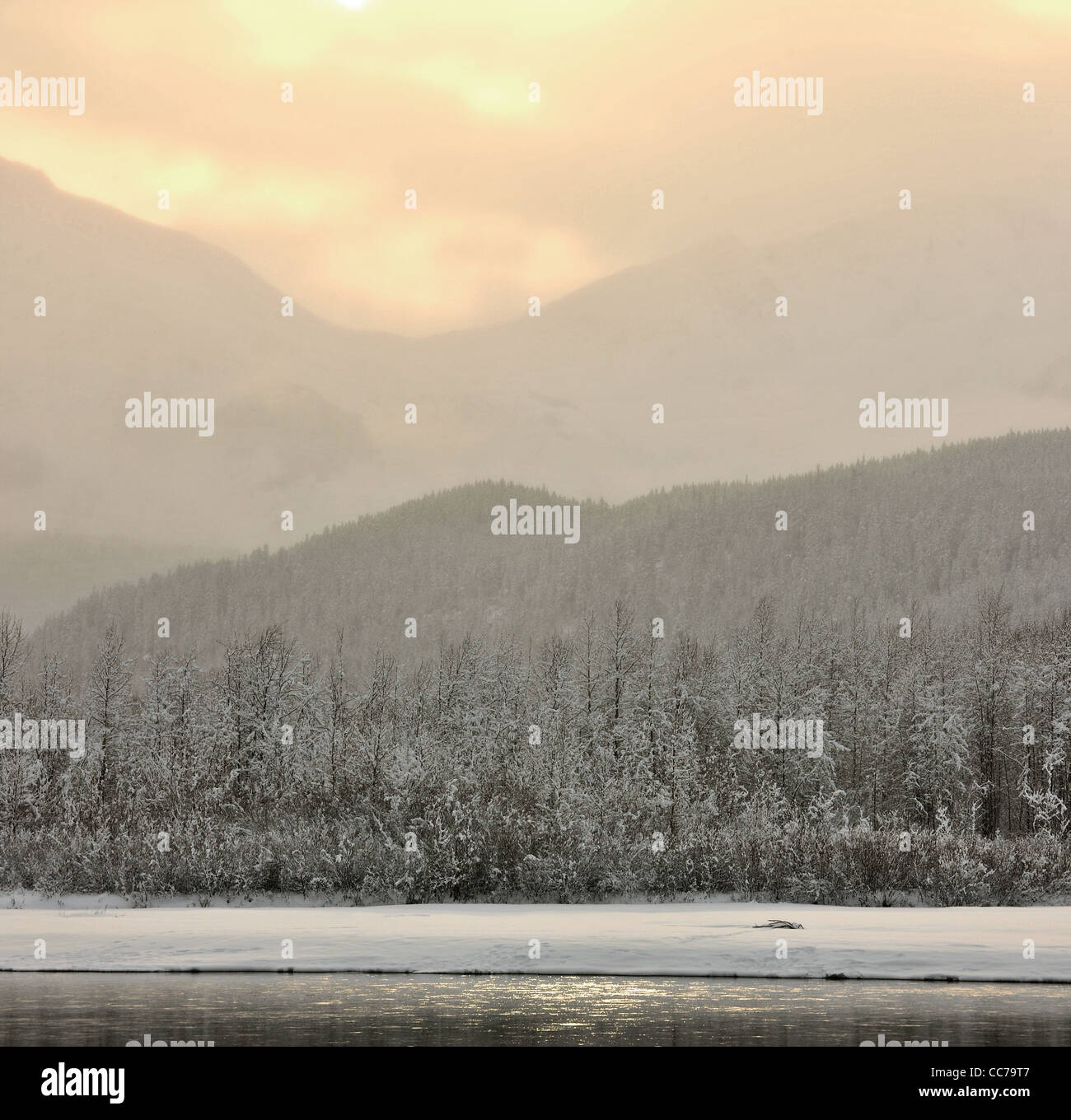 The Sunset Chilkat Valley under a covering of snow, with mountains ...