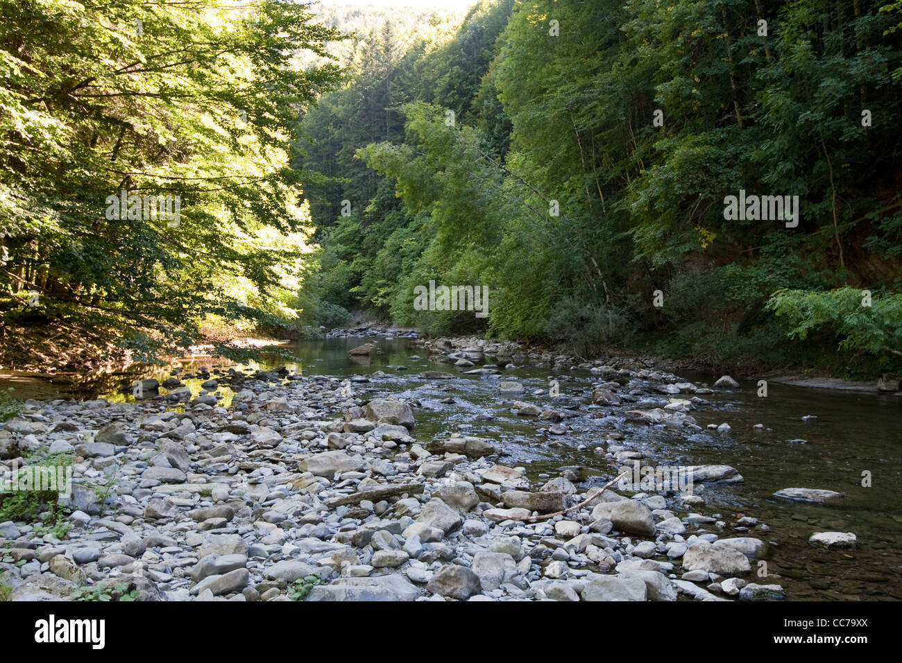 Irati river hi-res stock photography and images - Alamy