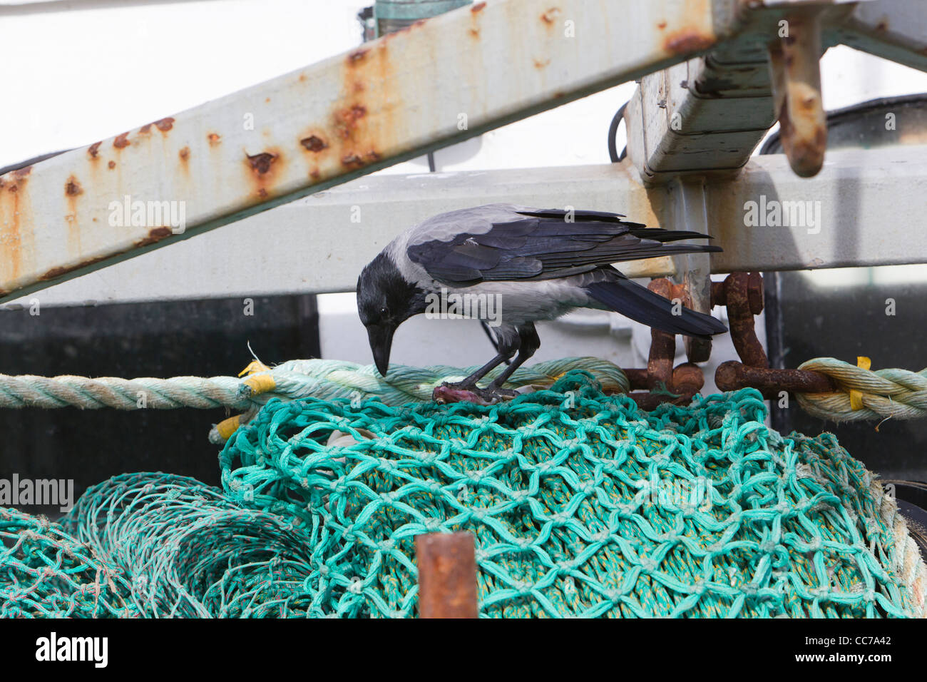 Fishing boat net hi-res stock photography and images - Alamy