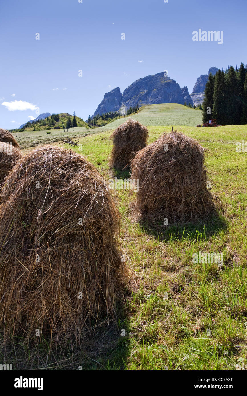 Italian alpine range hi-res stock photography and images - Alamy