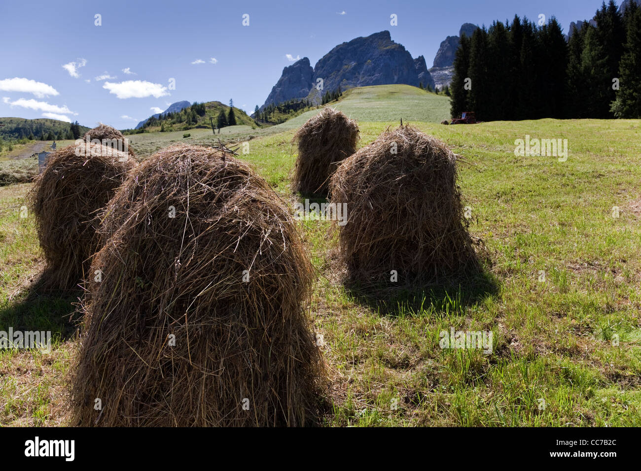 Countryside view of Alpine meadows with hay bales, near Passo Monte ...