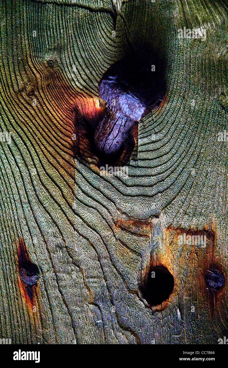 Weathered timber with rusty bolt, Essex coast Stock Photo - Alamy