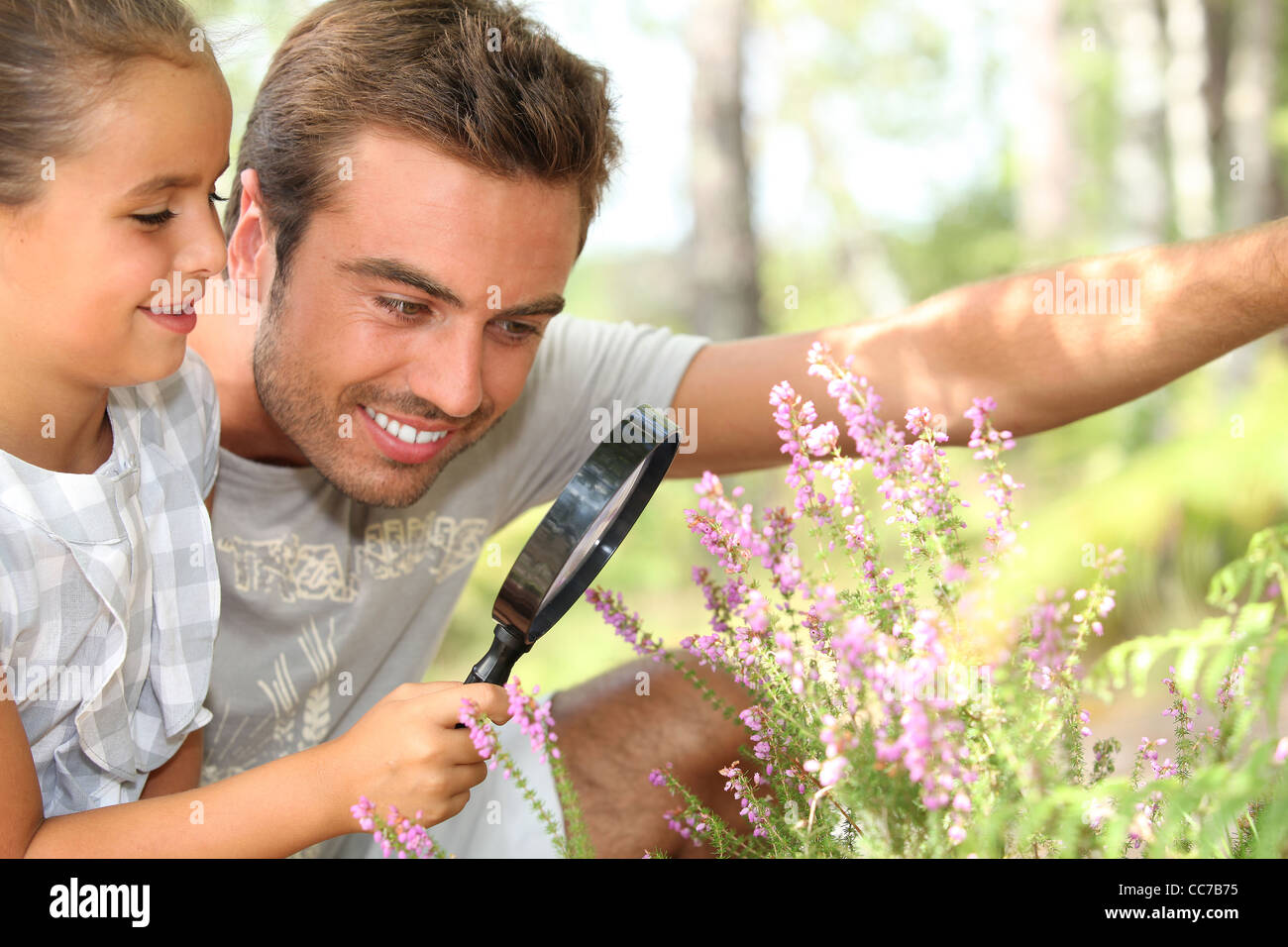 Father and daughter looking at flowers Stock Photo - Alamy