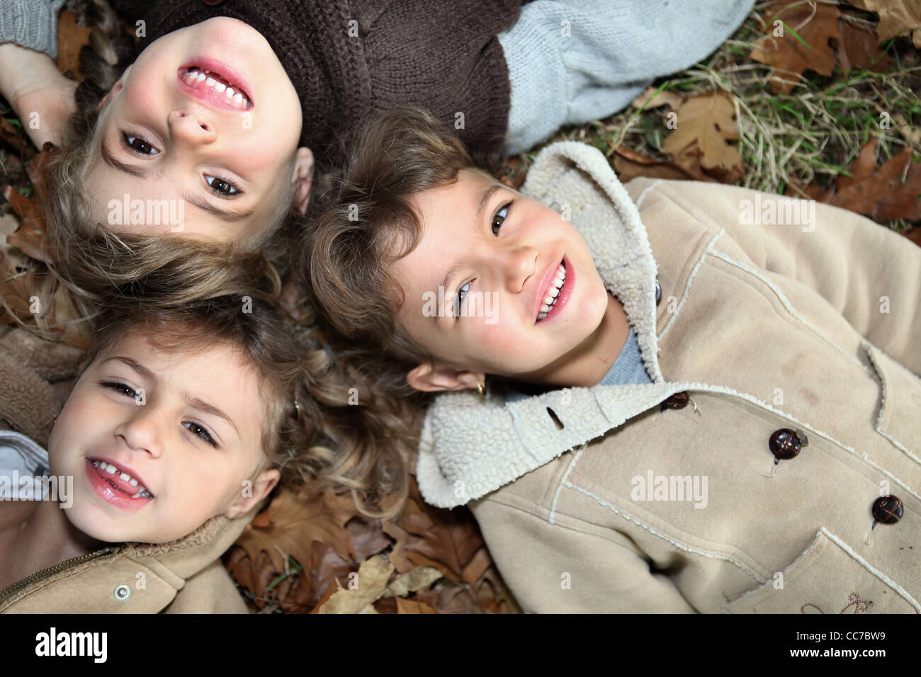 Children playing in the leaves Stock Photo - Alamy