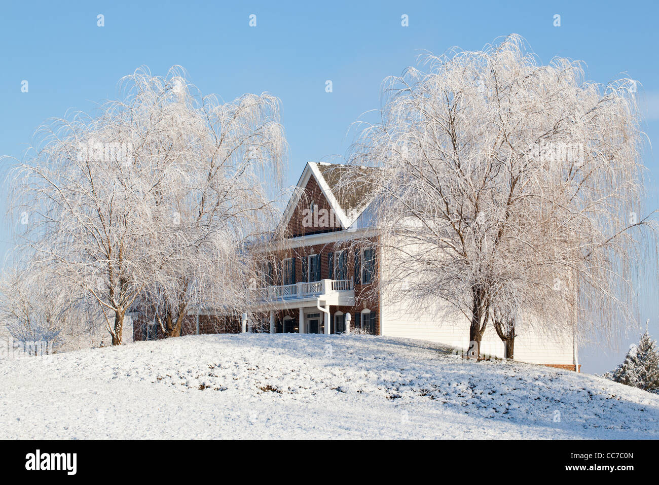 Weeping willow trees hi-res stock photography and images - Alamy