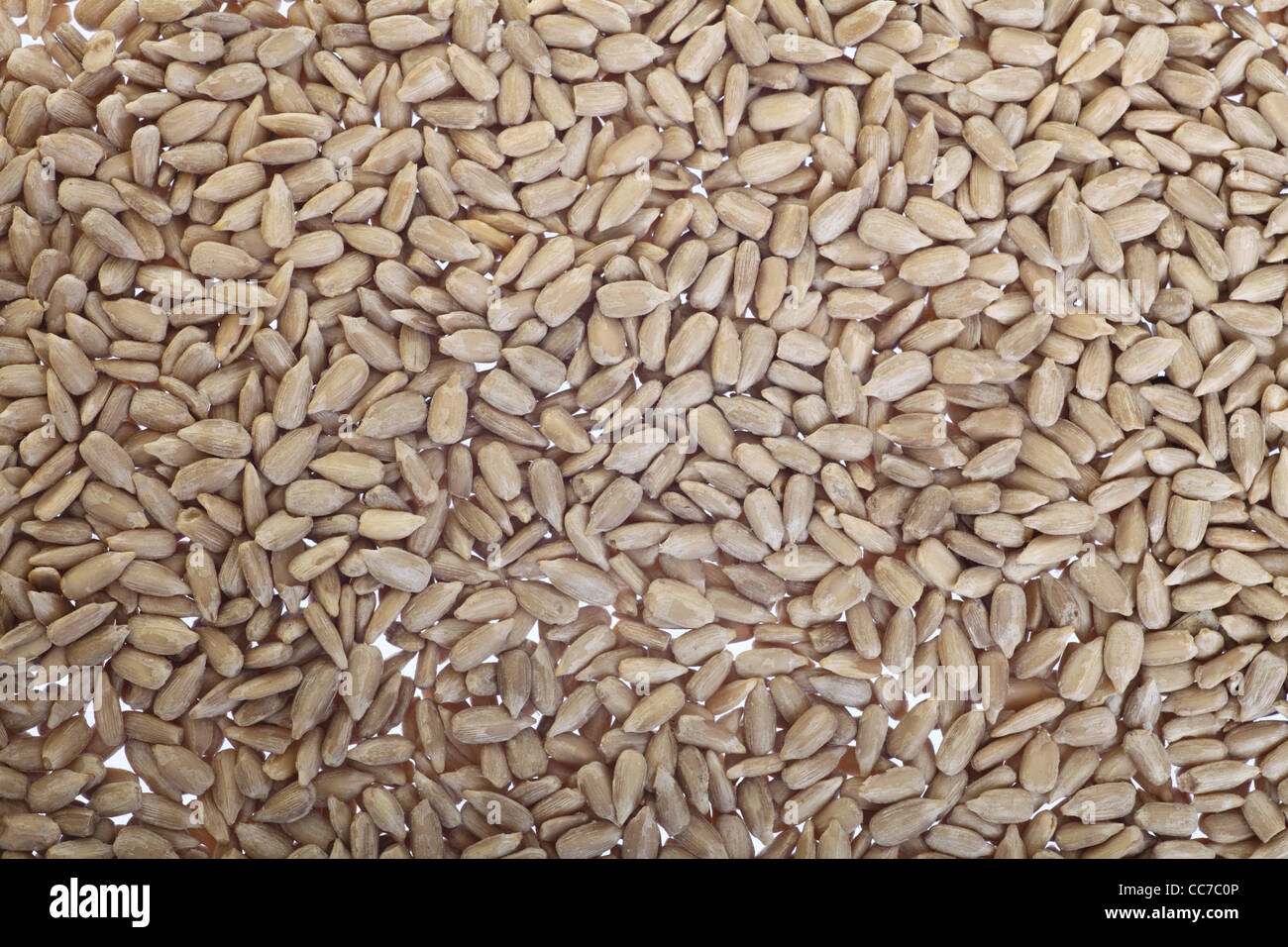 sunflower seeds - nature background texture Stock Photo - Alamy