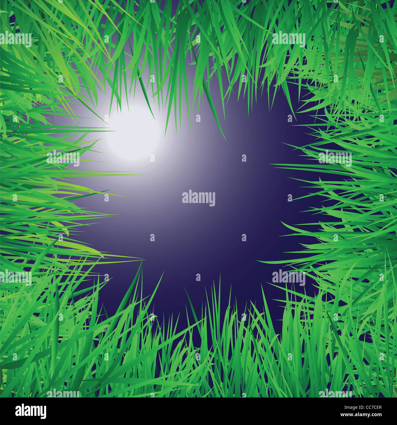 night scene with a view point below grass field Stock Photo - Alamy