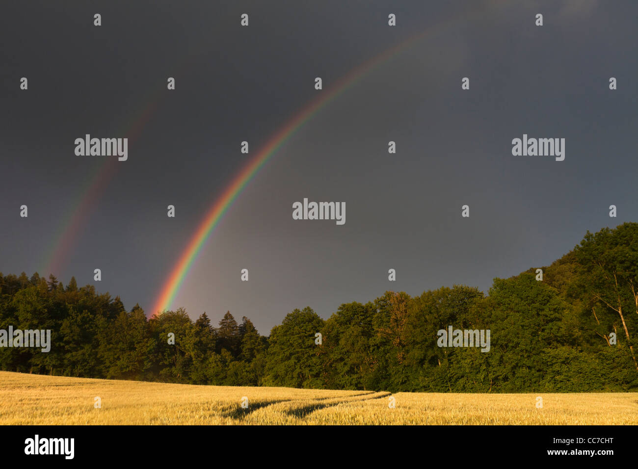 Rainbow Corn High Resolution Stock Photography and Images - Alamy