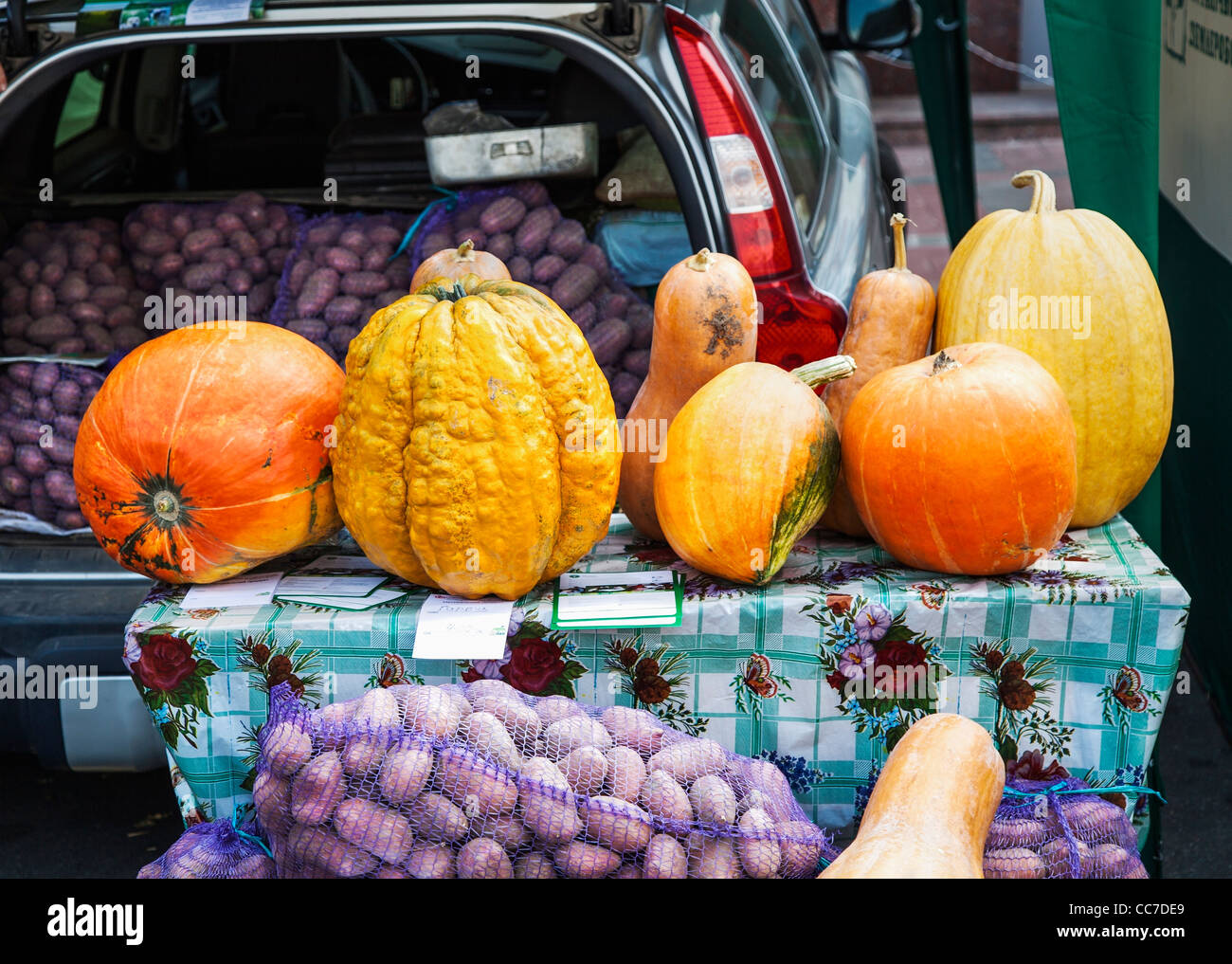 Pumpkins and gourds at a market in Kiev, Ukraine Stock Photo - Alamy