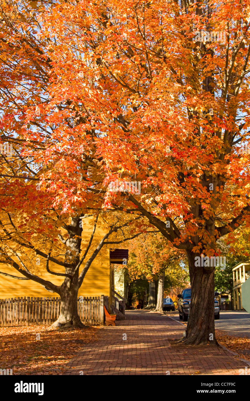 Fall in Old Salem (Winston-Salem NC Stock Photo - Alamy