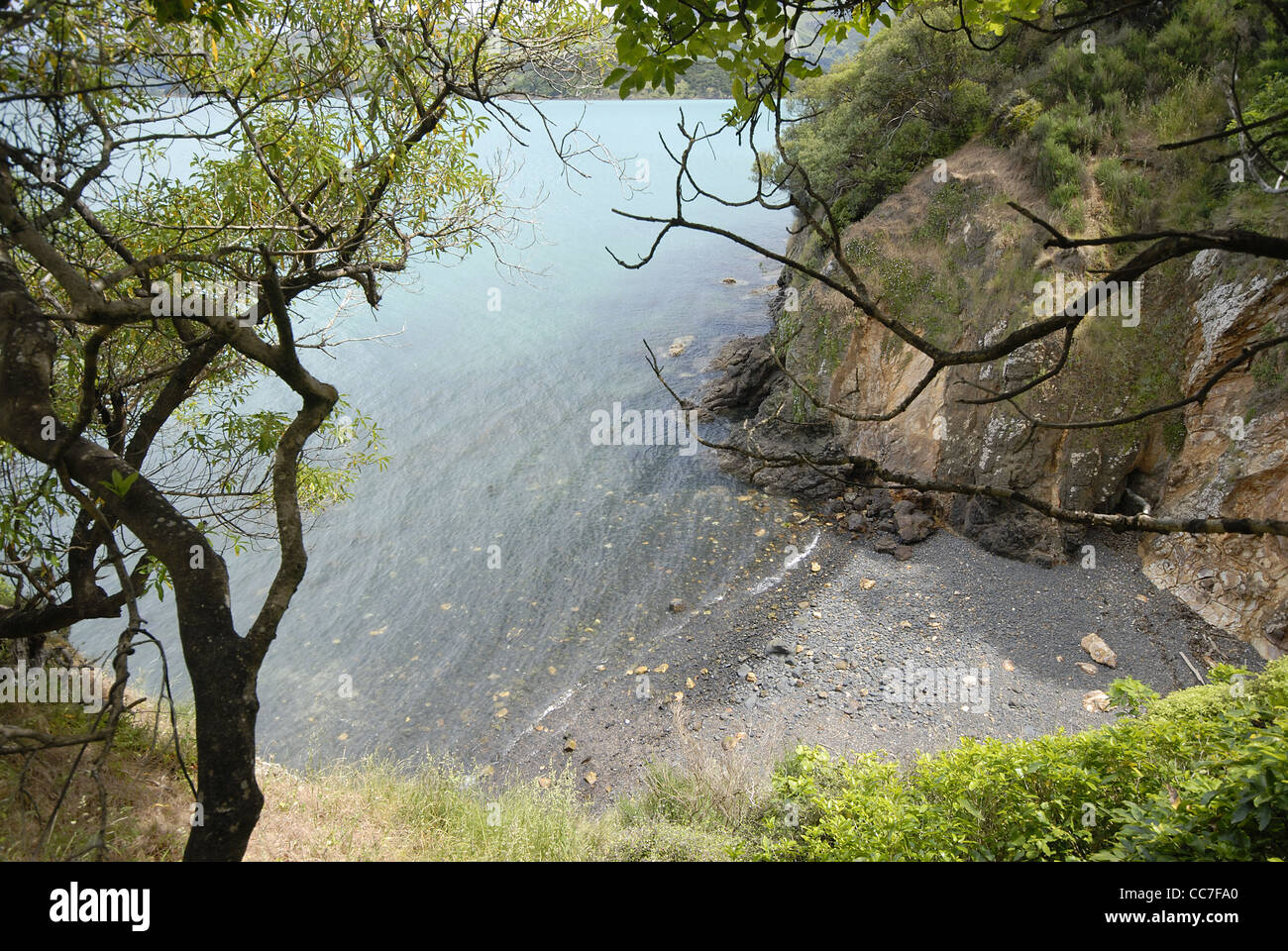 A beach near Akaroa, New Zealand Stock Photo - Alamy