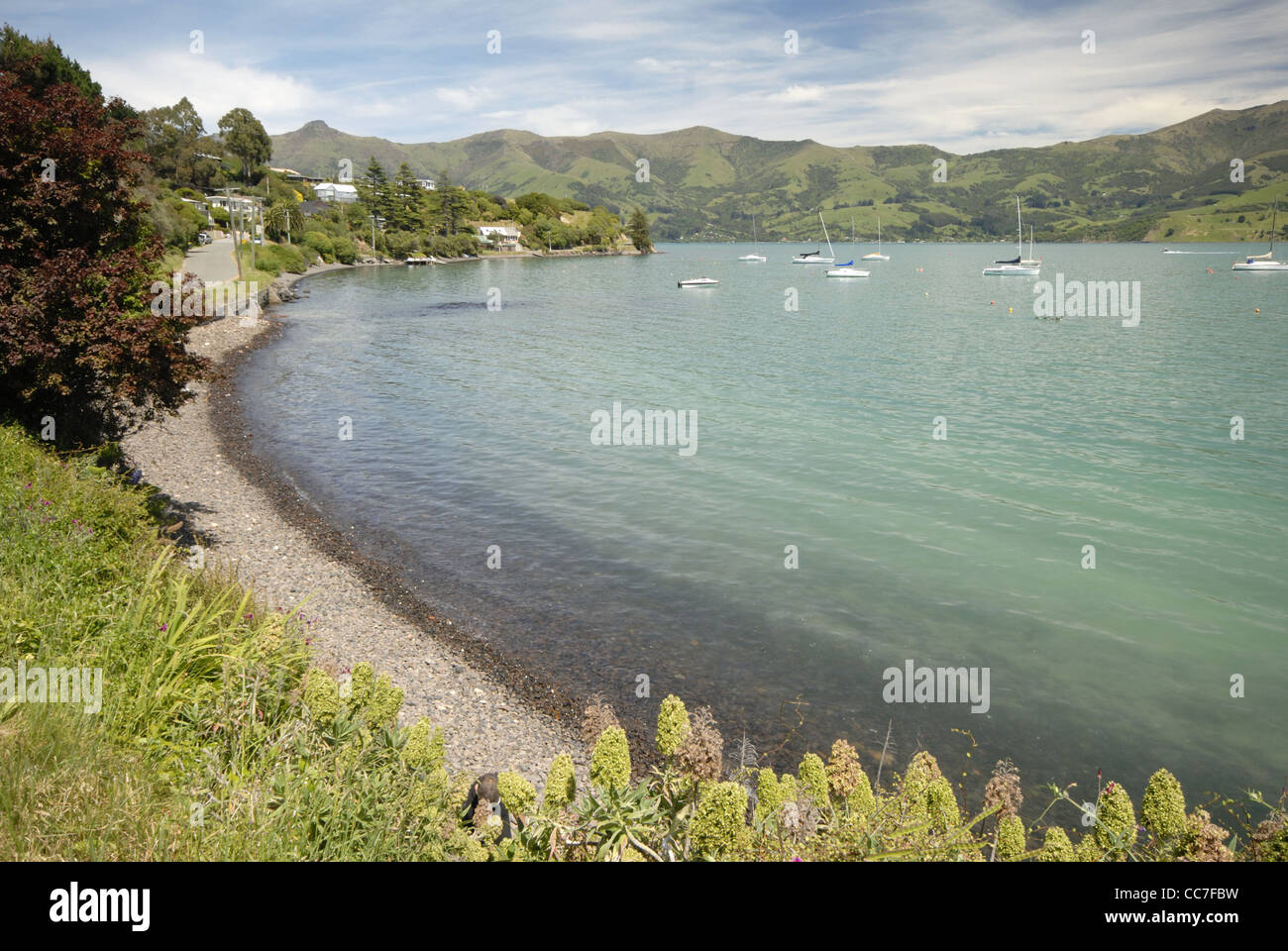 Akaroa Harbour, New Zealand Stock Photo - Alamy