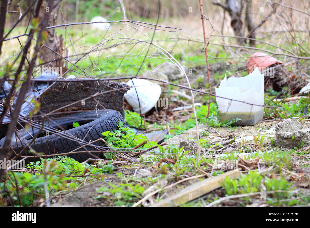 nature rubbish in the nature showing dirty environment and pollution ...