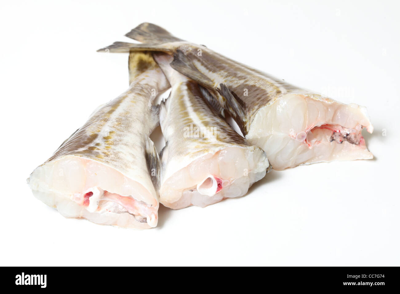 Raw cod fish fillets in kitchen on white background Stock Photo - Alamy