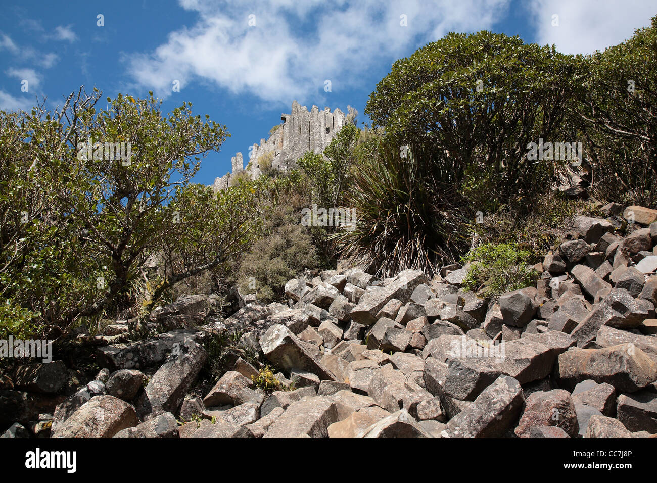 The Organpipes - Volcanic formation in Dunedin, New Zealand Stock Photo ...