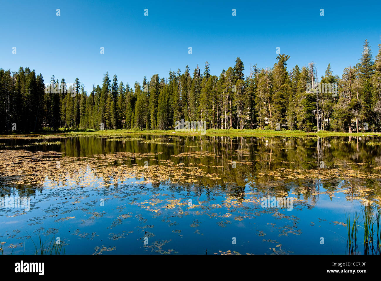 siesta lake, yosemite national park, california, usa Stock Photo - Alamy