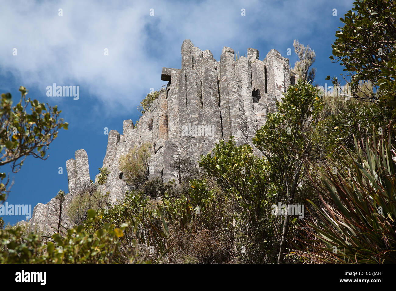 The Organpipes - Volcanic formation in Dunedin, New Zealand Stock Photo ...