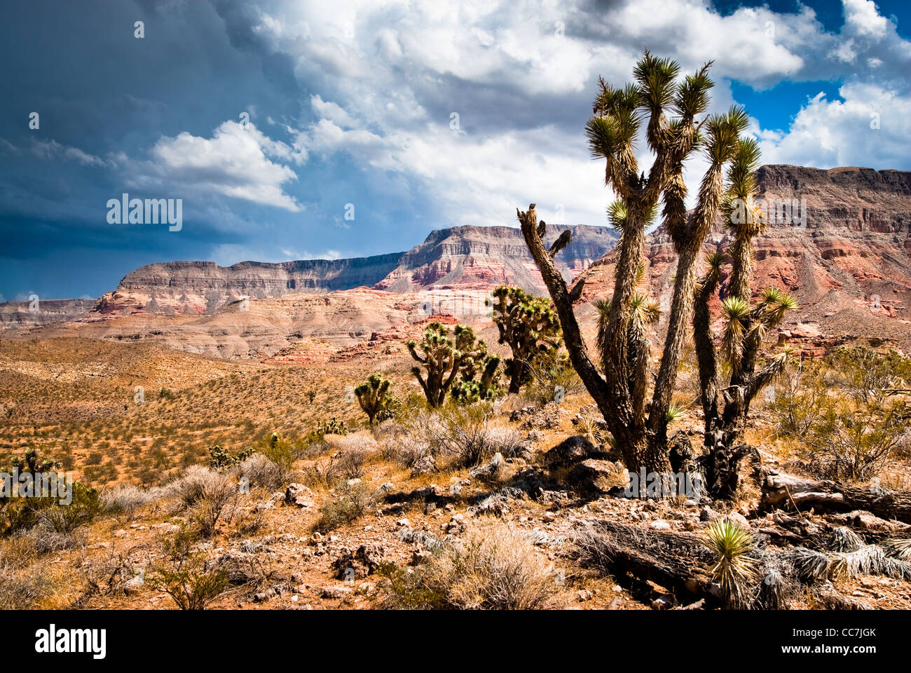 scenic view of sandstone cliffs in utah with an approaching ...