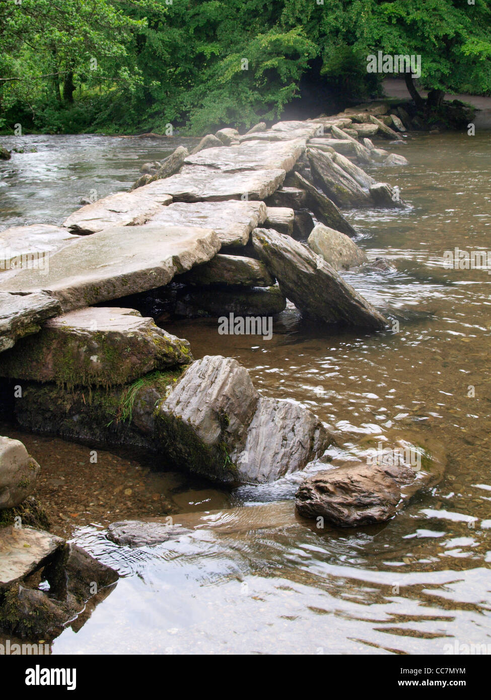 Misty morning, Tarr steps, an ancient clapper bridge on the River Barle ...