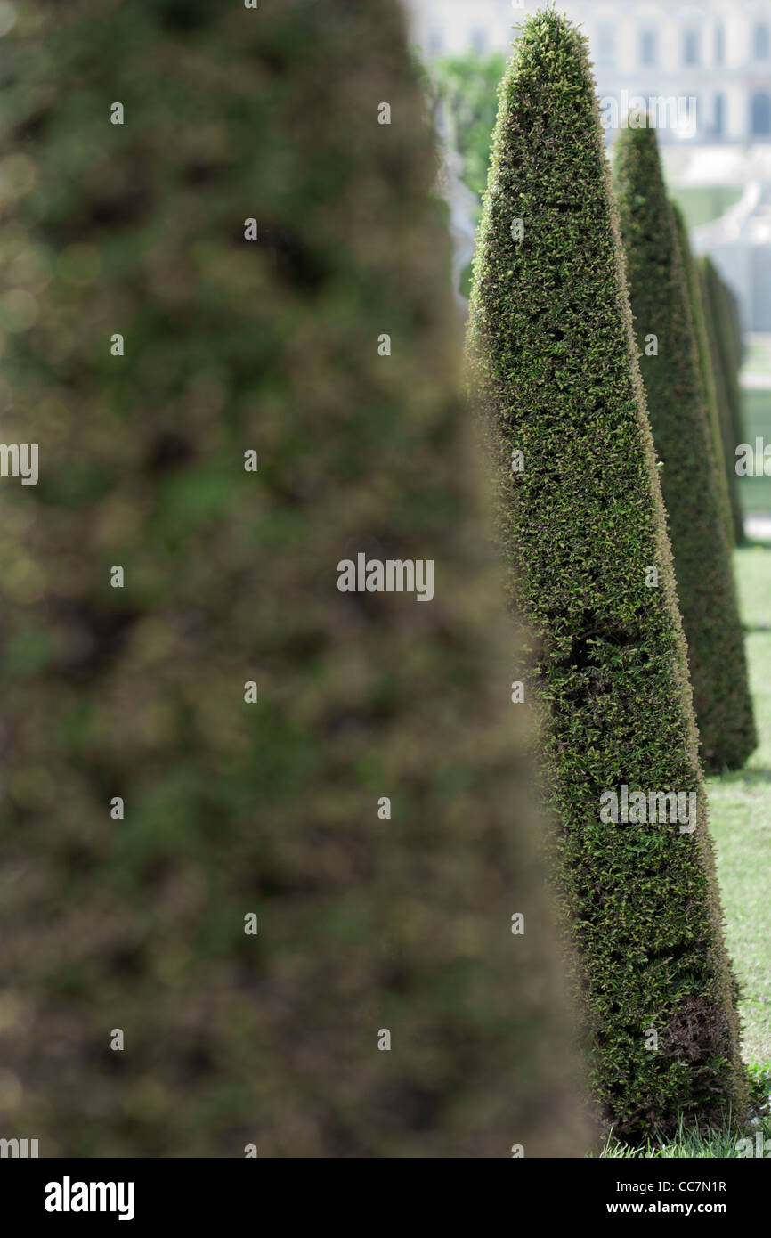 Formal topiary garden hi-res stock photography and images - Alamy