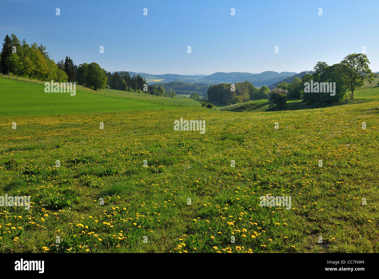 Dommel, Ottlar, Diemelsee, Hesse, Waldeck-Frankenberg, Germany Stock ...