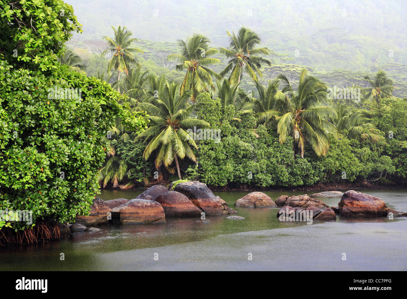 Equatorial rain forest hi-res stock photography and images - Alamy