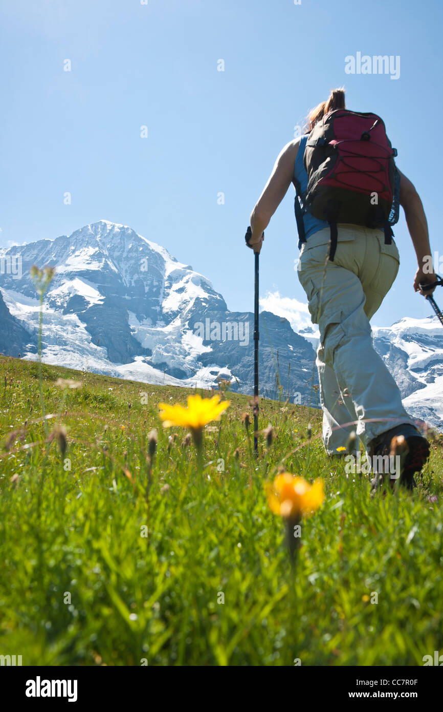 Adults Using Walking Sticks High Resolution Stock Photography and ...
