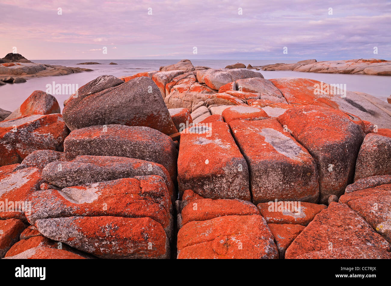 Red Lichen on Rocks, Bay of Fires, Bay of Fires Conservation Area ...