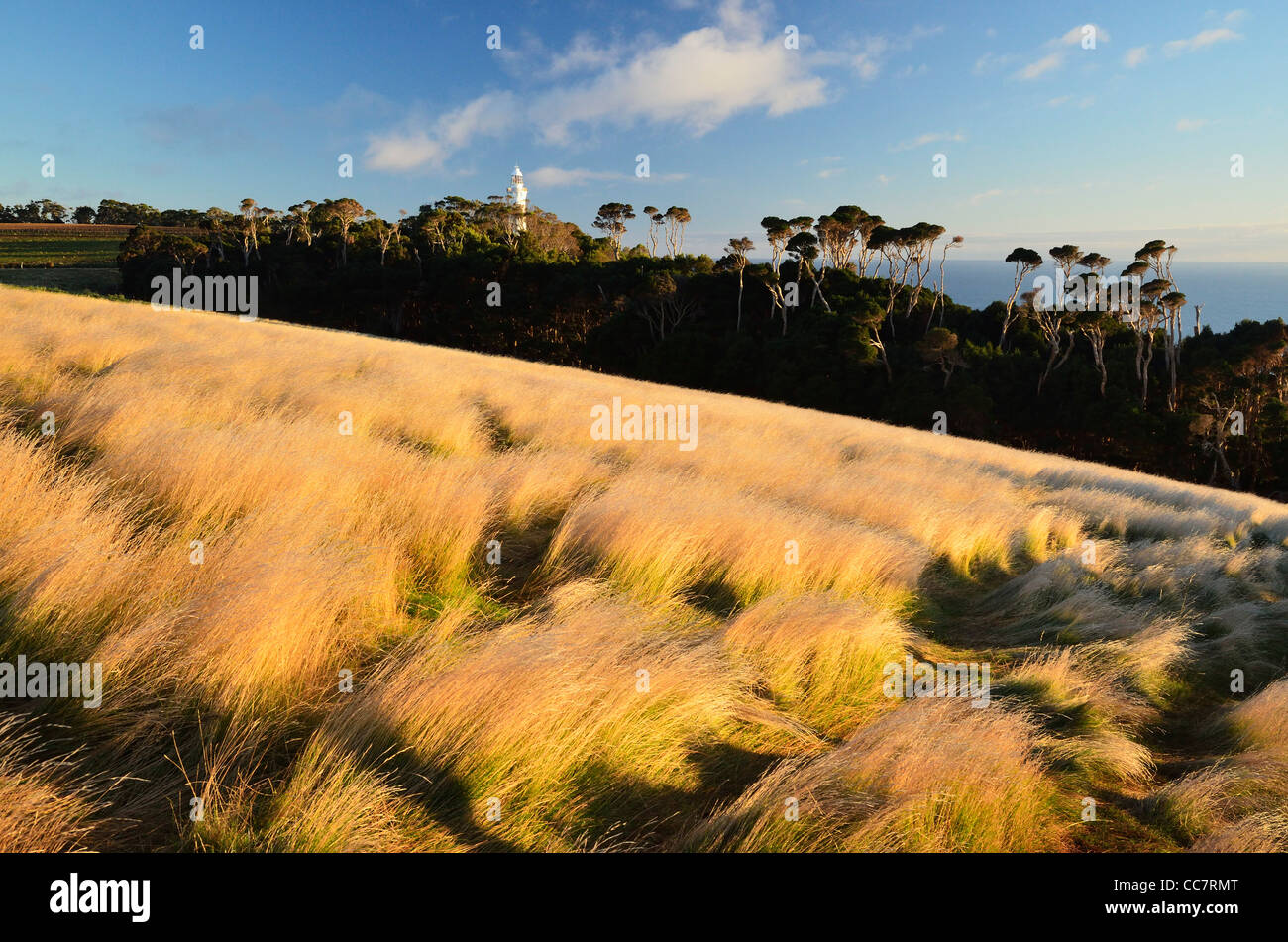Table Cape Lighthouse, Table Cape, Tasmania, Australia Stock Photo - Alamy